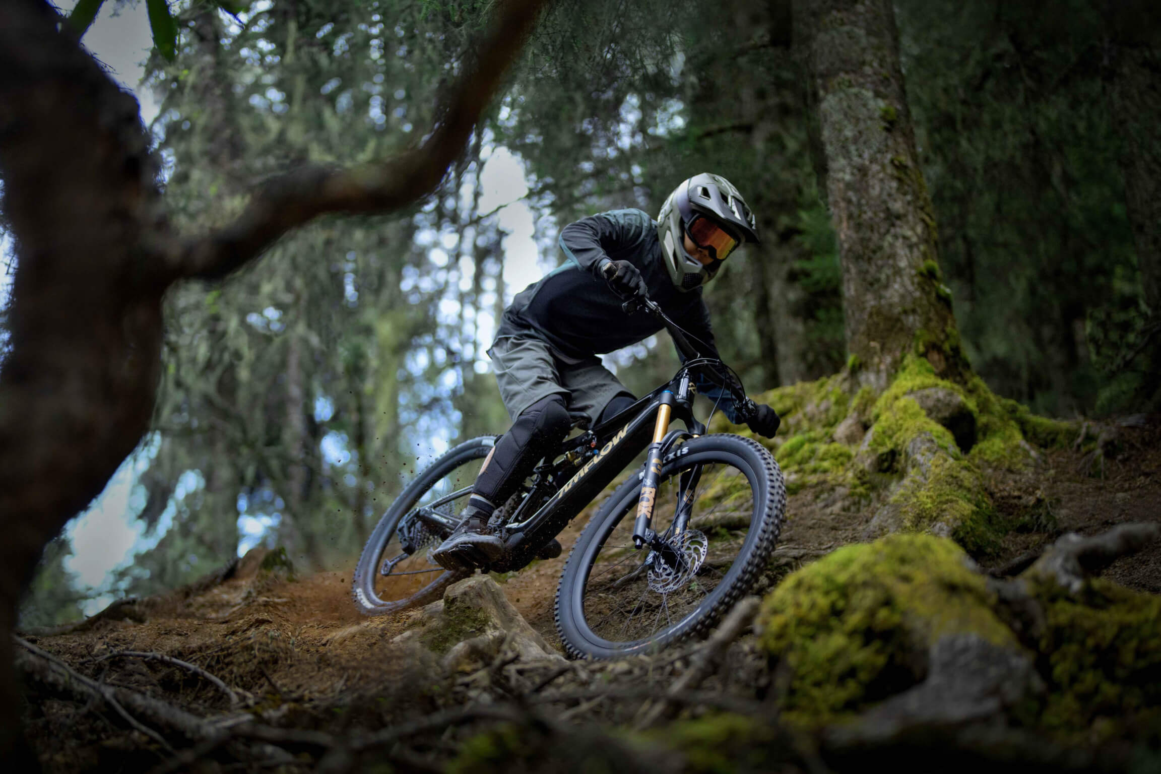Your Guide to Choosing an Electric Mountain Bike in 2025 (Estonia)