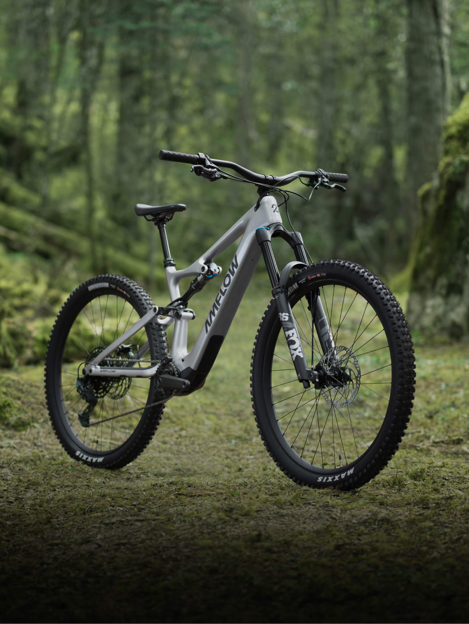 Amflow E-MTB | Leichtes & Leistungsstarkes E-Mountainbike (Deutschland)