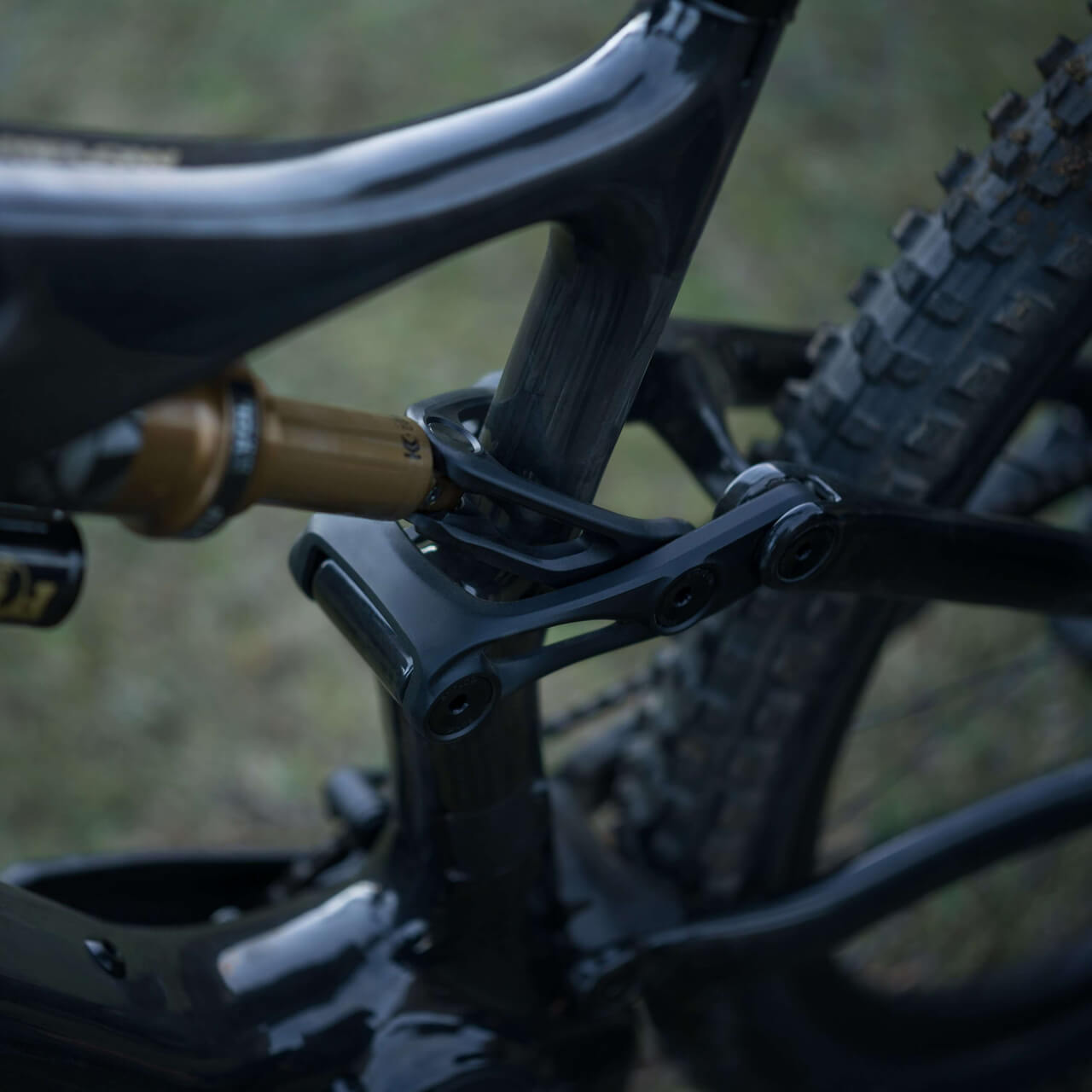 Buy Amflow PL Carbon - AMFLOW Store